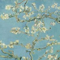 Holy Week Trials – Poetry ~ Cabbage After Christmas